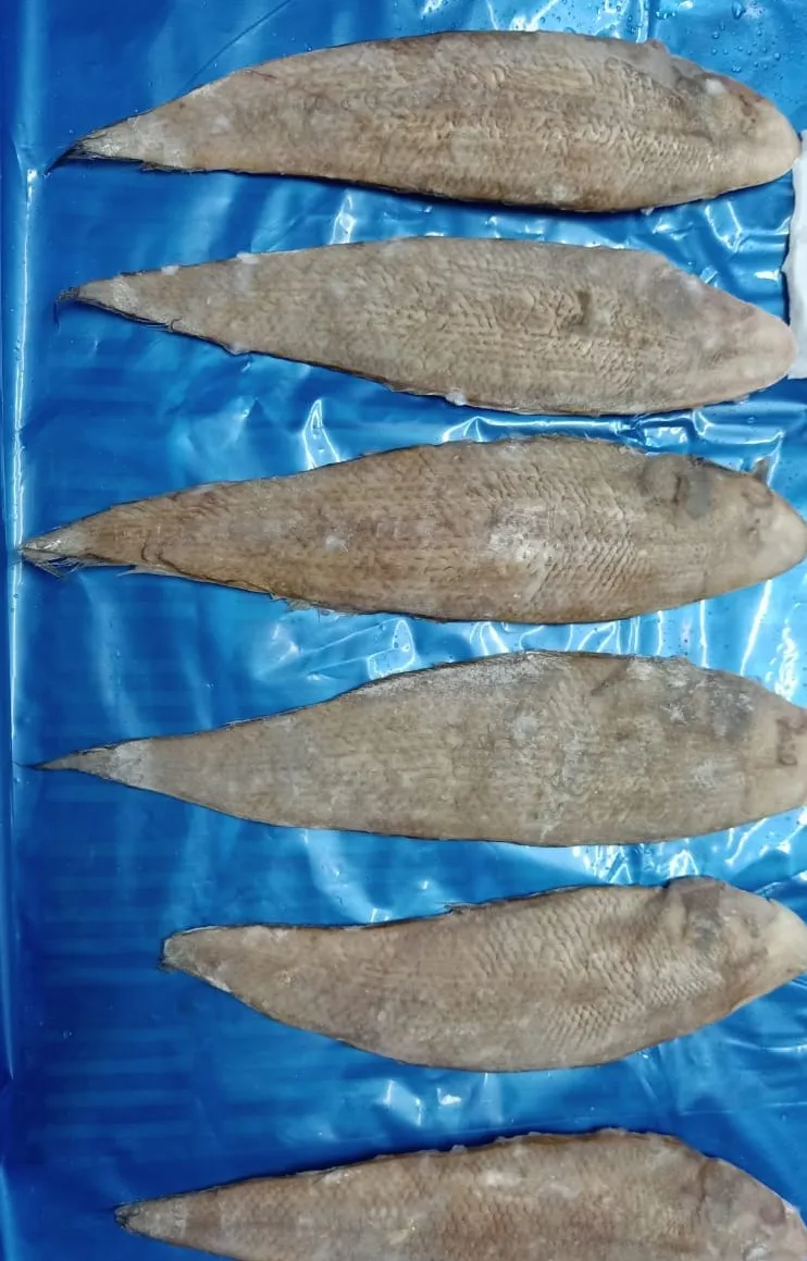 Top Quality Frozen Sole Fish Whole From India - Buy Sole Fish Frozen ...
