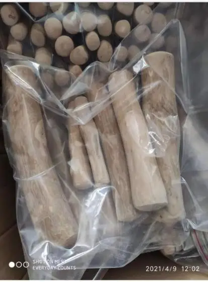 Best Choice for Your Pets - GORILLA CHEW - Eco-Friendly Dog Toy