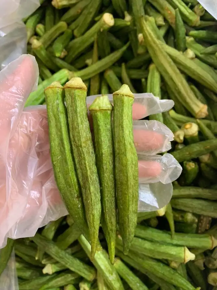 Freeze Dried Okra From Vietnam Dried Green Okra For Sale - Buy Baby ...