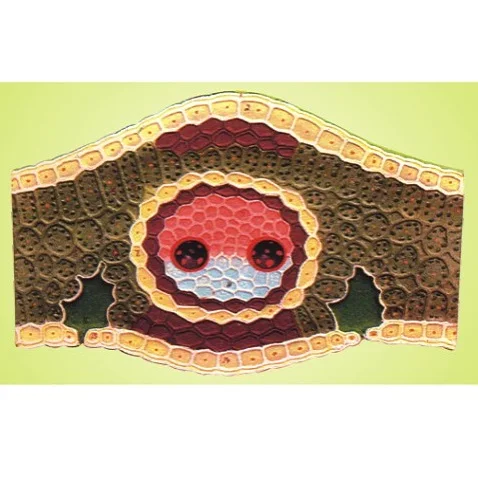 Monocot Leaf Model - Enhance Biology Education with Radical