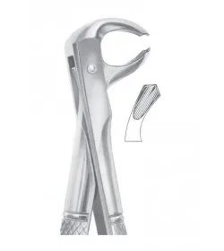 Dental Extraction Of Upper Premolar Teeth Extracting Forceps Surgical ...