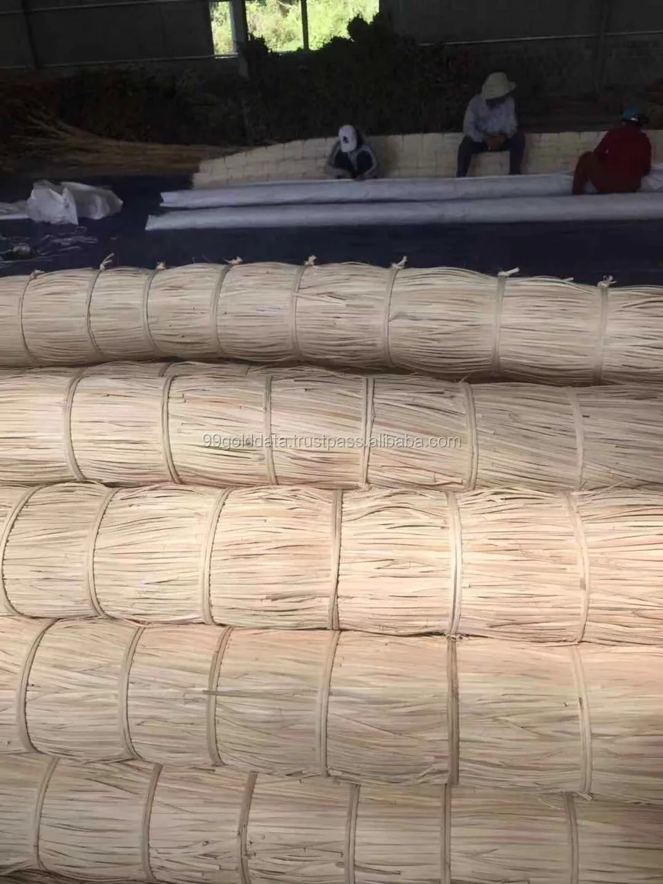 Rattan Core /rattan Flat/ Rattan Pole In Bulk Export Standard_ 99 Gold ...