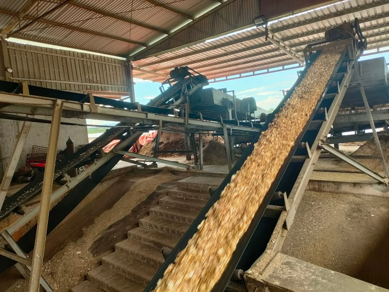 Acacia Wood Chips from Vietnam - 150,000 Bdmt/month