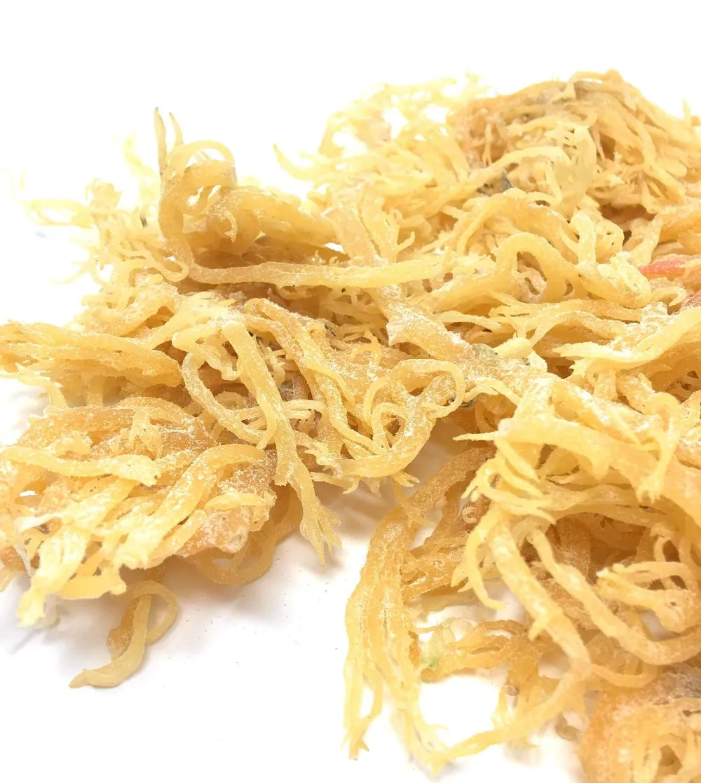 Dried Eucheuma Cottonii Seaweed - Healthy Sea Moss