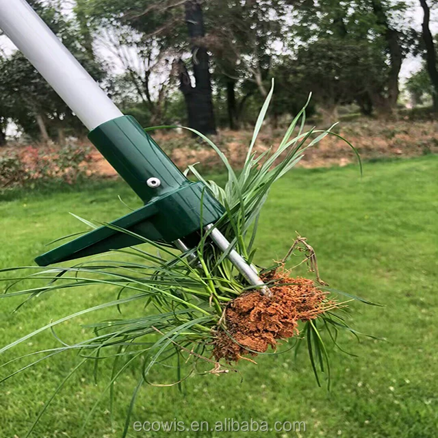 Efficient Weed Removal with Grabber Weed - Three Prong Tool