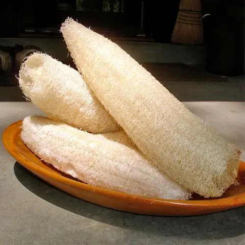 Natural Loofah from Vietnam - Durable & Smell Removing