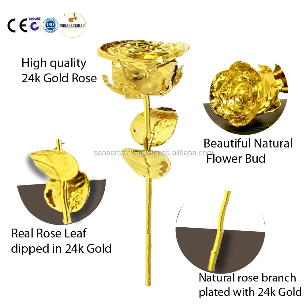 2022 Creative Natural Plated 24k Gold Rose Flower Full Gold-plated ...