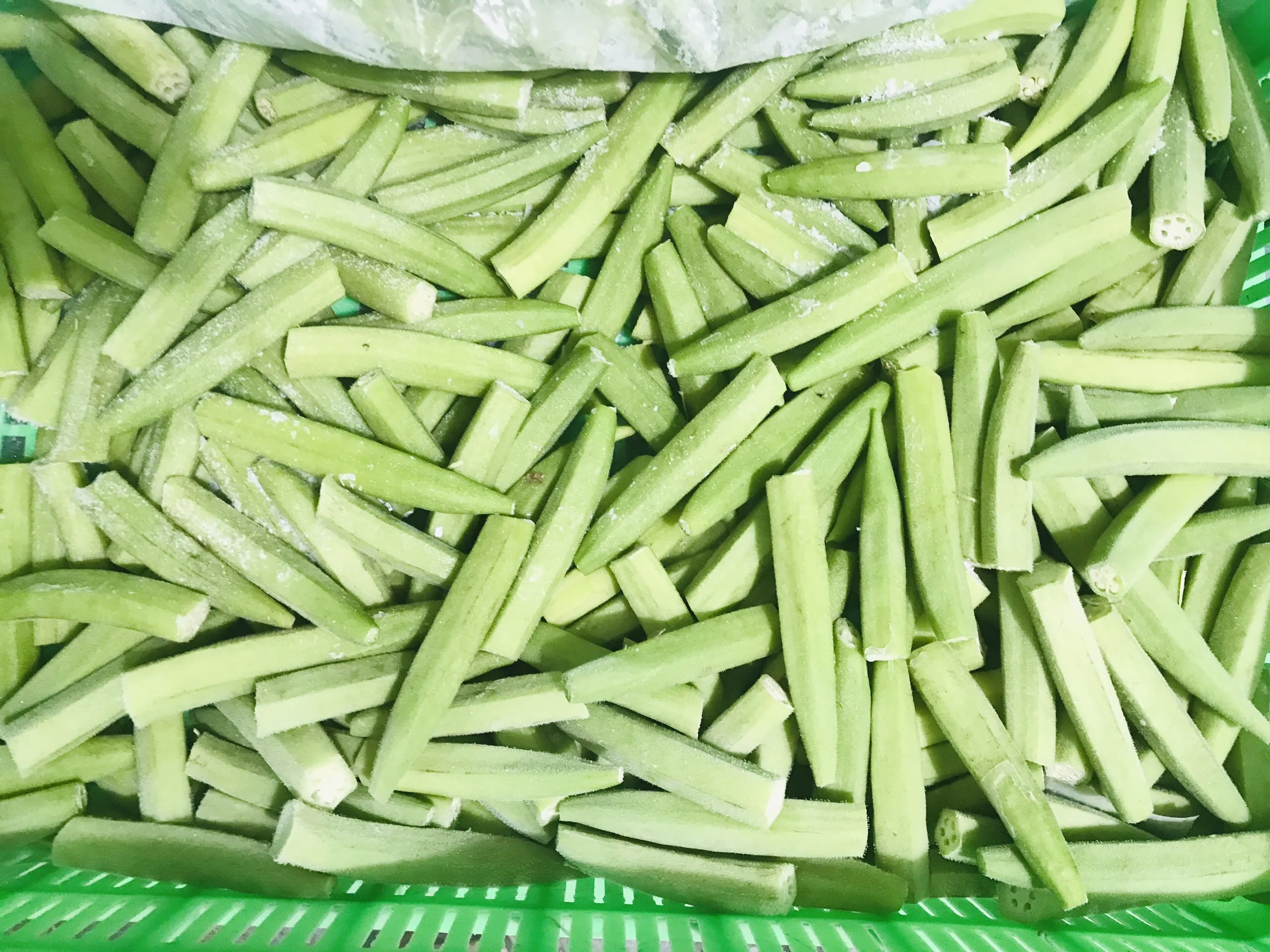 FRESH ORKA, BOILED ORKA, CUT ORKA| Alibaba.com