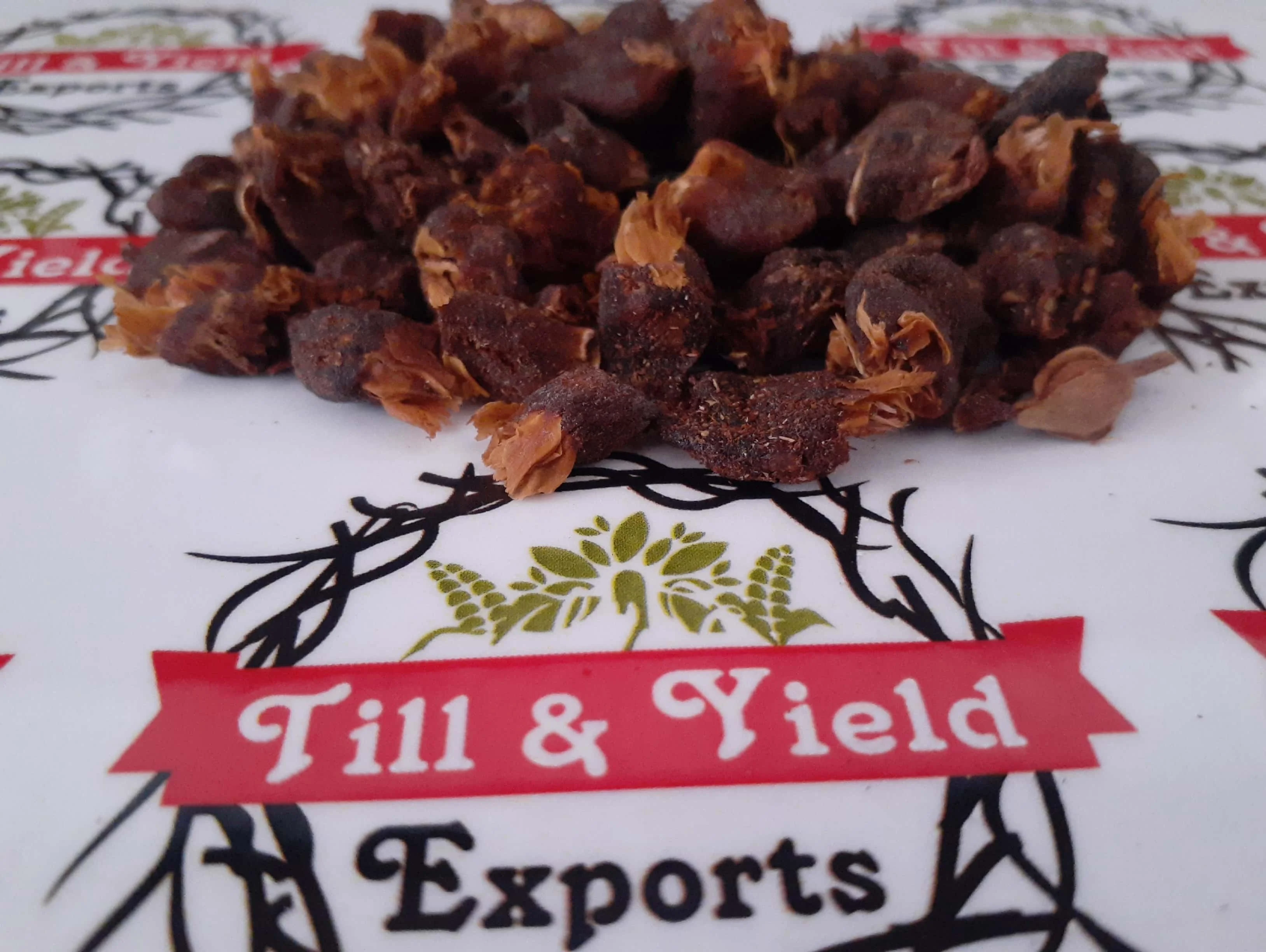 Mahua - Madhuca Longifera - Indian Butter Tree- Flower/oil/ Seed - Buy ...