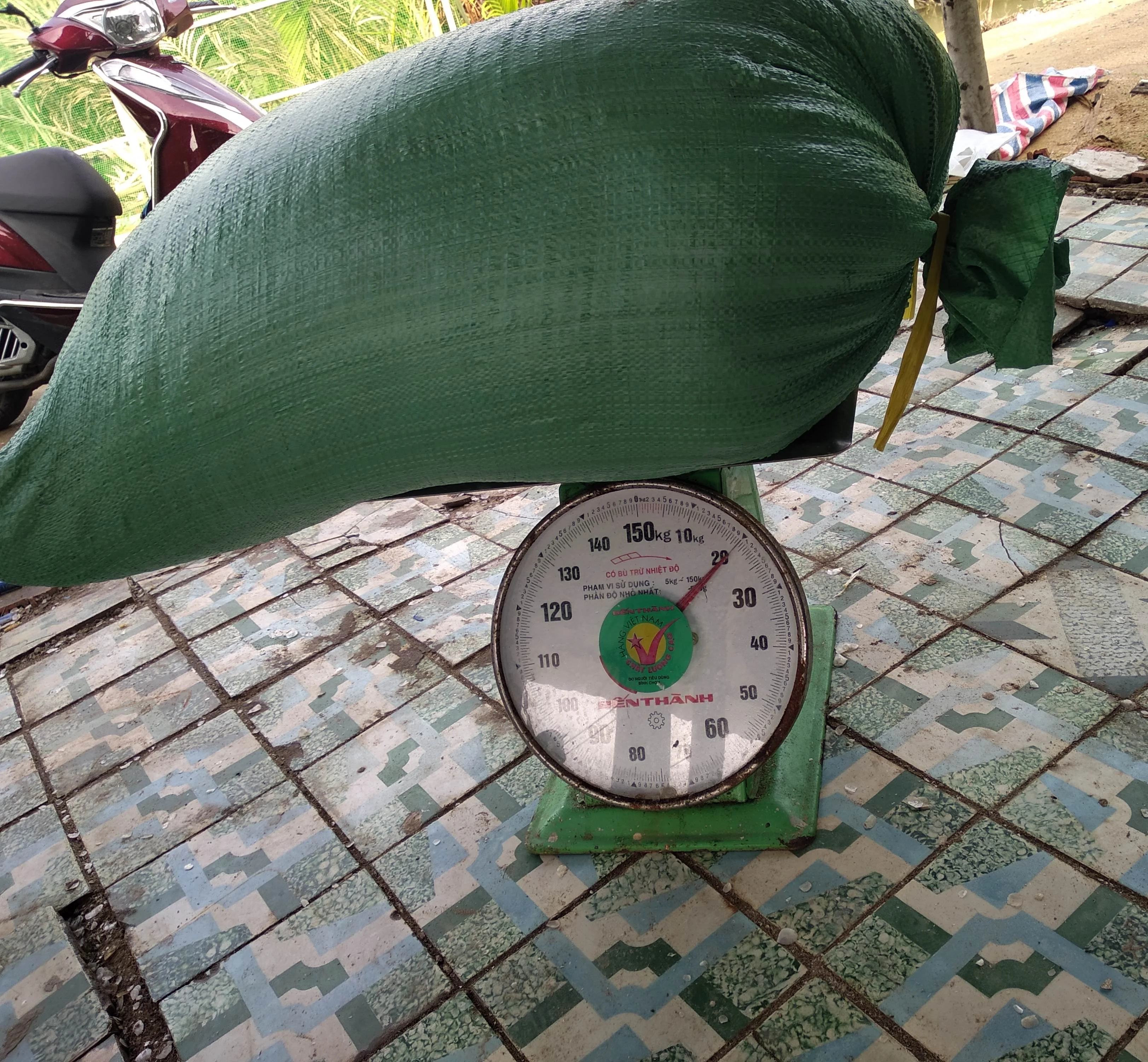 Dried Tilapia Fish Scale For Sale With Big Size Over 1cm Up For ...