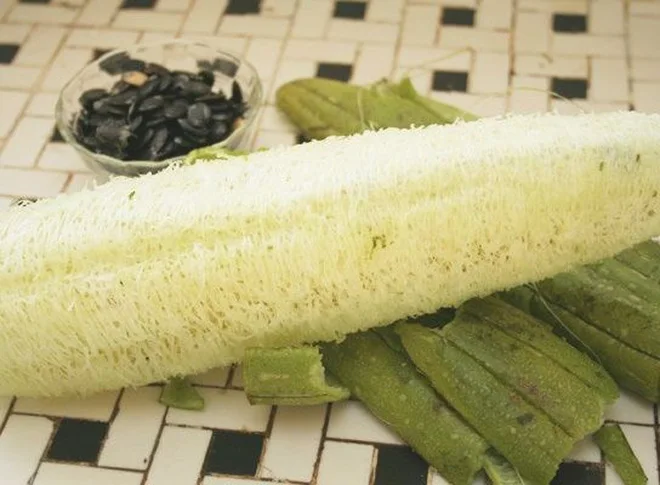 Natural Loofah from Vietnam - Durable & Smell Removing