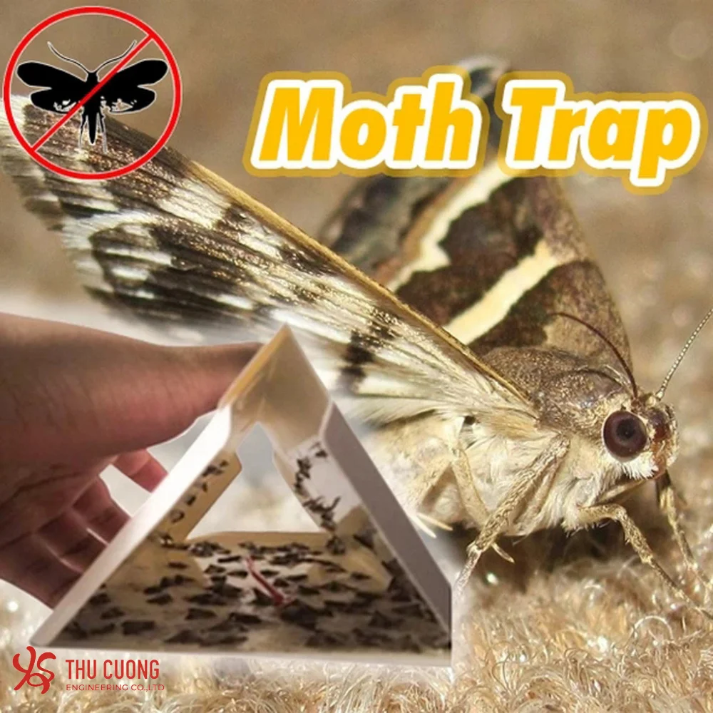 High Quality Moth Trap Pheromone Impregnated Surface Easily Adheres To Non-chemical Safe To Use ...