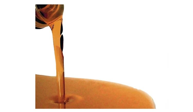 GUARANA SYRUP - ENERGETIC,Brazil PHYTO PLANET price supplier - 21food