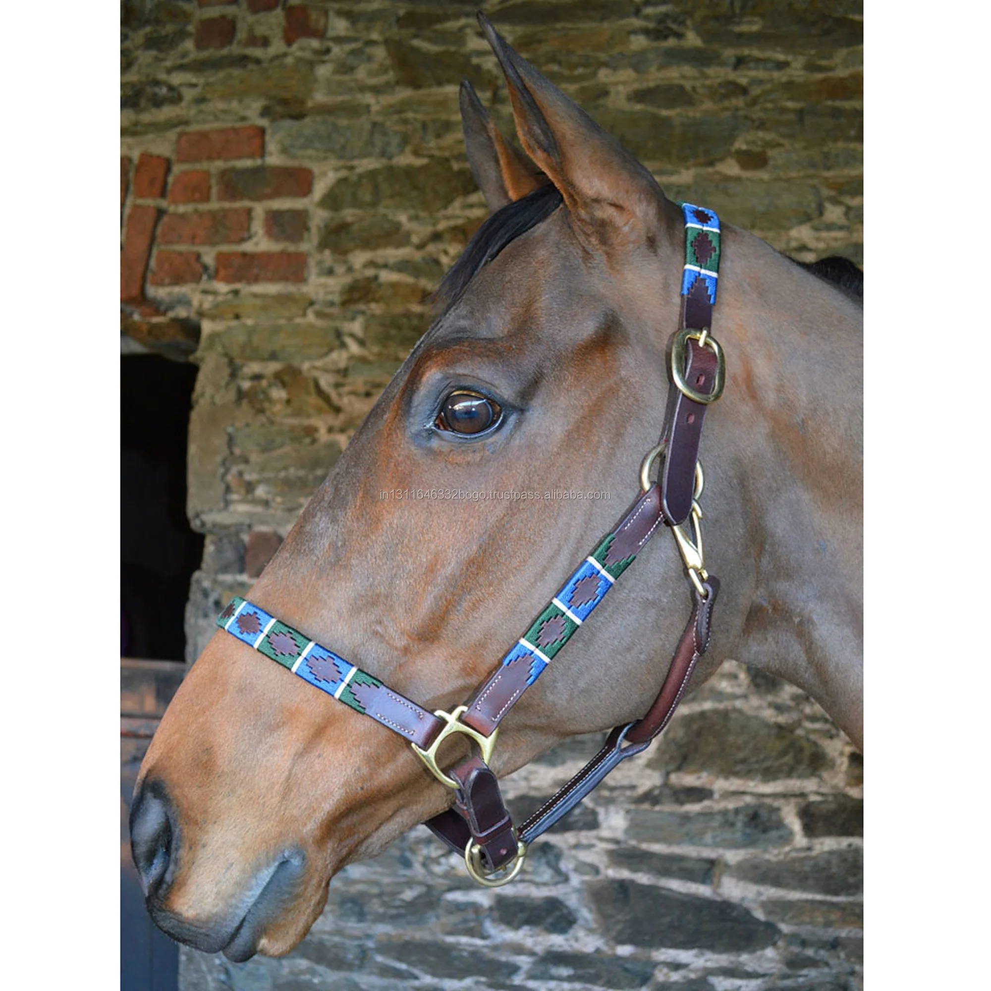 Top Quality - Argentinian Polo Leather Horse Halter - Excellent Quality ...