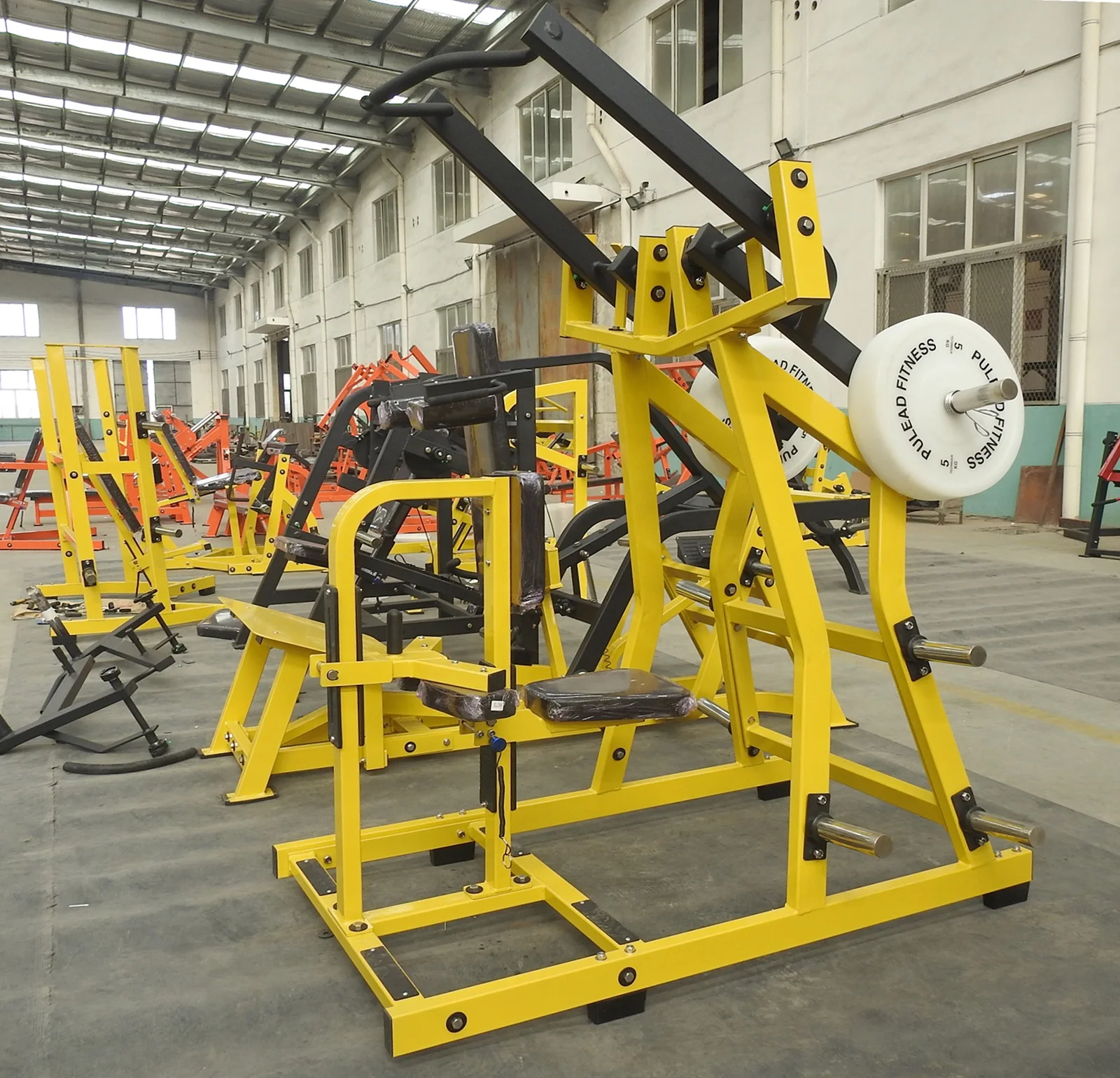 Newtech Bent Over Row Wellness Fitness Equipment - Buy Newtech Wellness ...