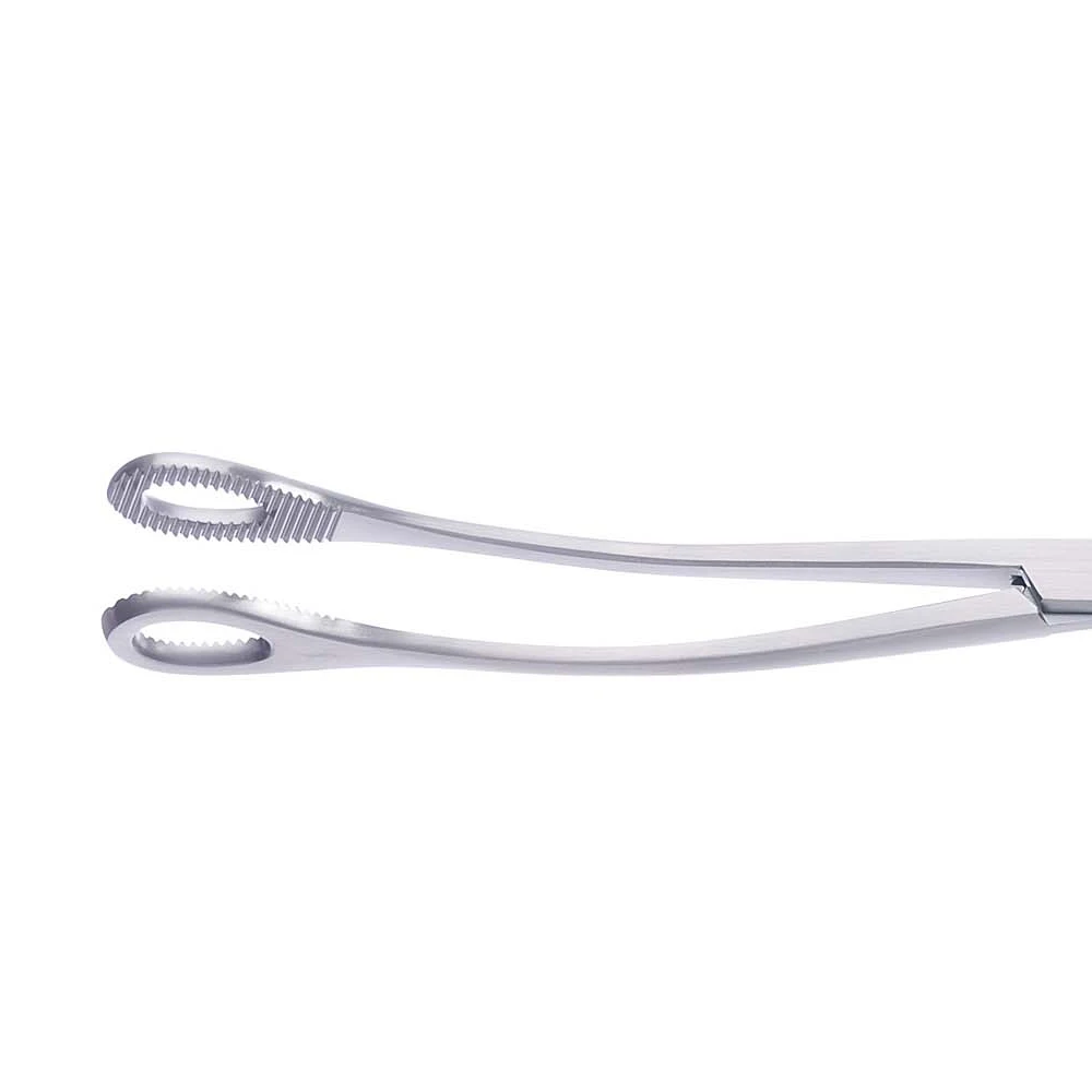 Hospital Medical Room Health Care Placenta and Ovum Kelly Placenta ...