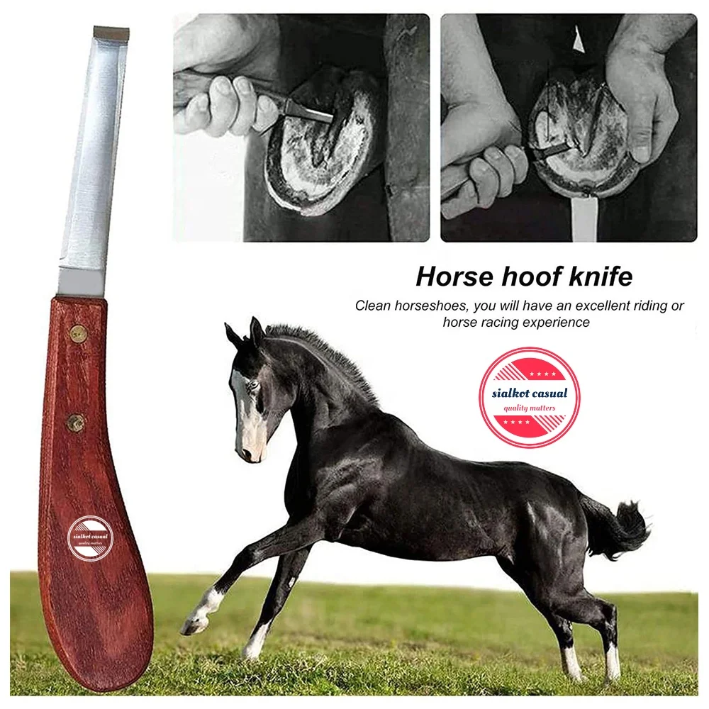 Farrier Tools Horseshoe File Suit,Contain Hoof Rasp Horse Hoof Nipper ...