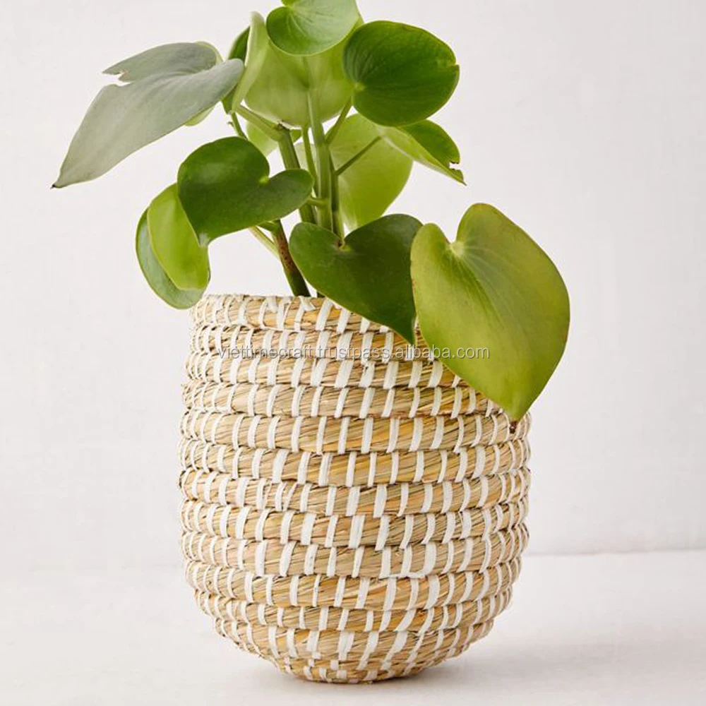Natural Seagrass Planters - Stylish Home Decor Solutions