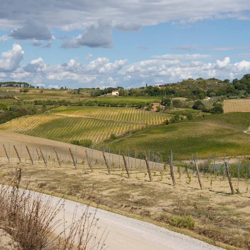 Chianti Colli Senesi DOCG 2018 - La Talosa Red Wine