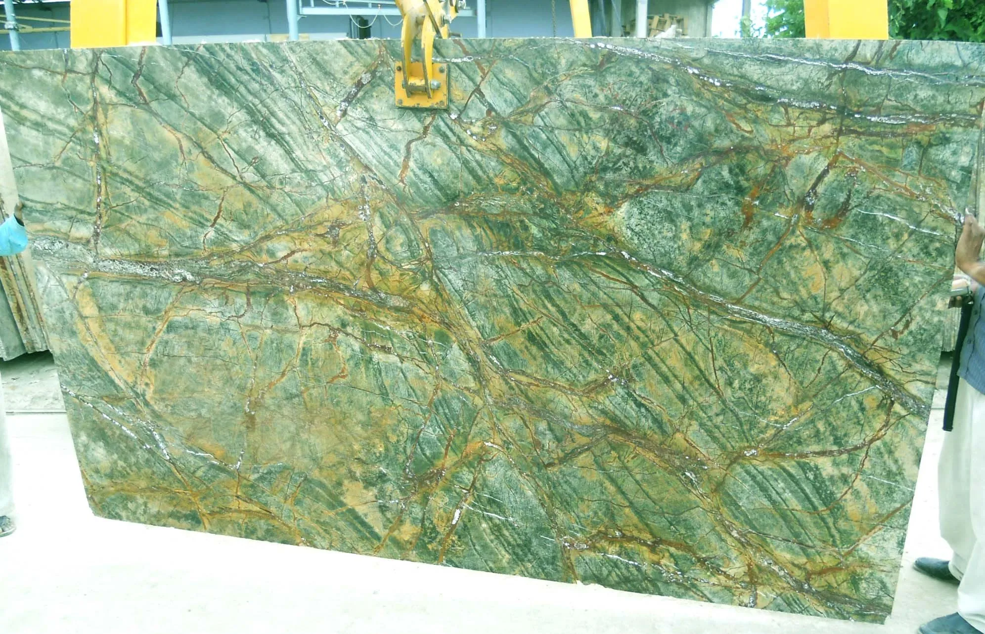 Best Quality Rainforest Green Marble Slabs Polished Indian Stone for ...