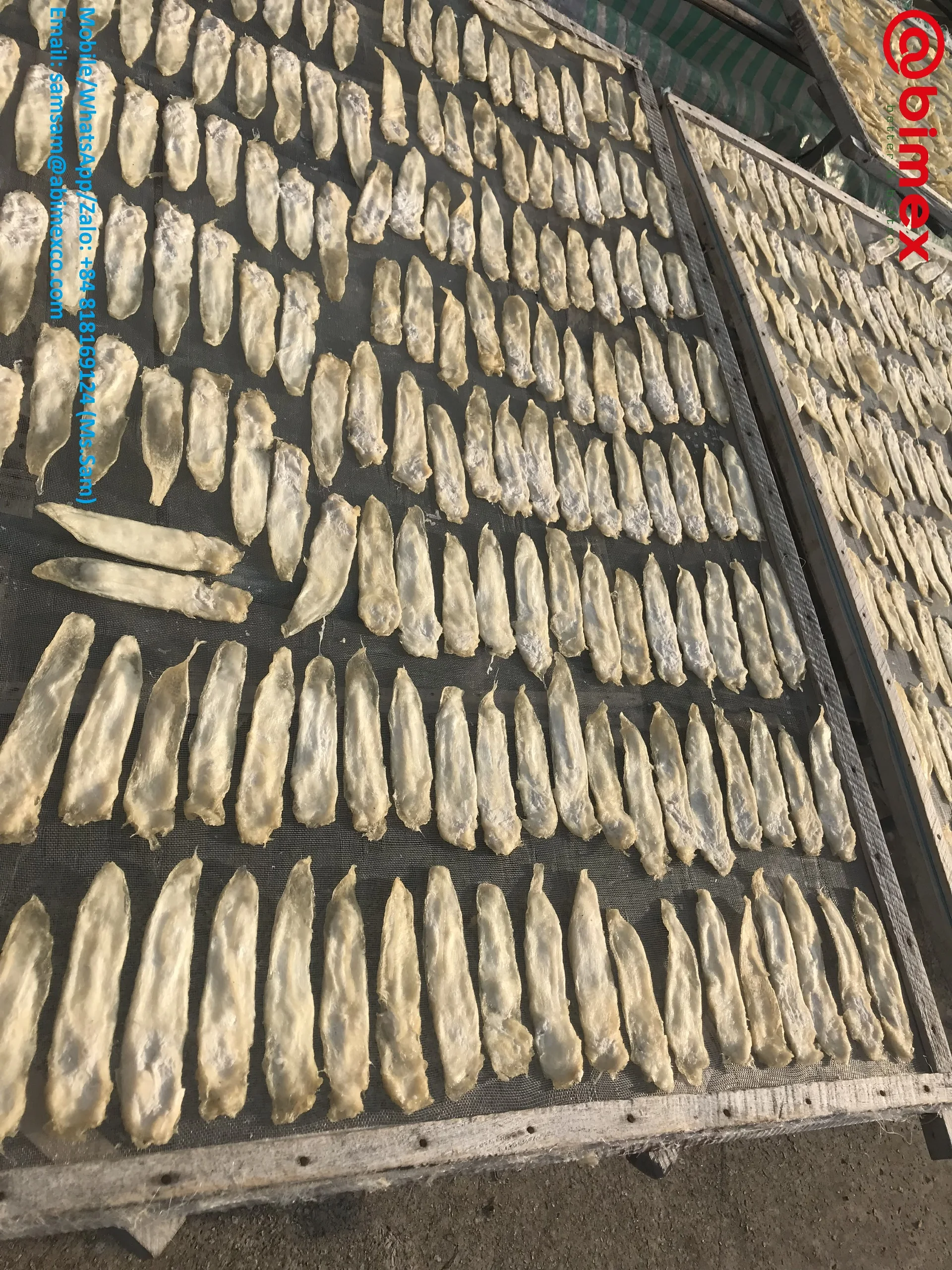 Vietnam Dry Pangasius Fish Maw With High Collagen - Buy Dried Fish Maw ...
