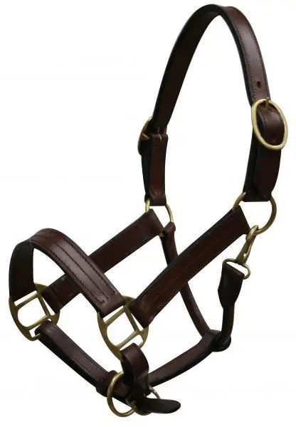 Luxury Leather Horse Halter Hardware Buckles - Customized
