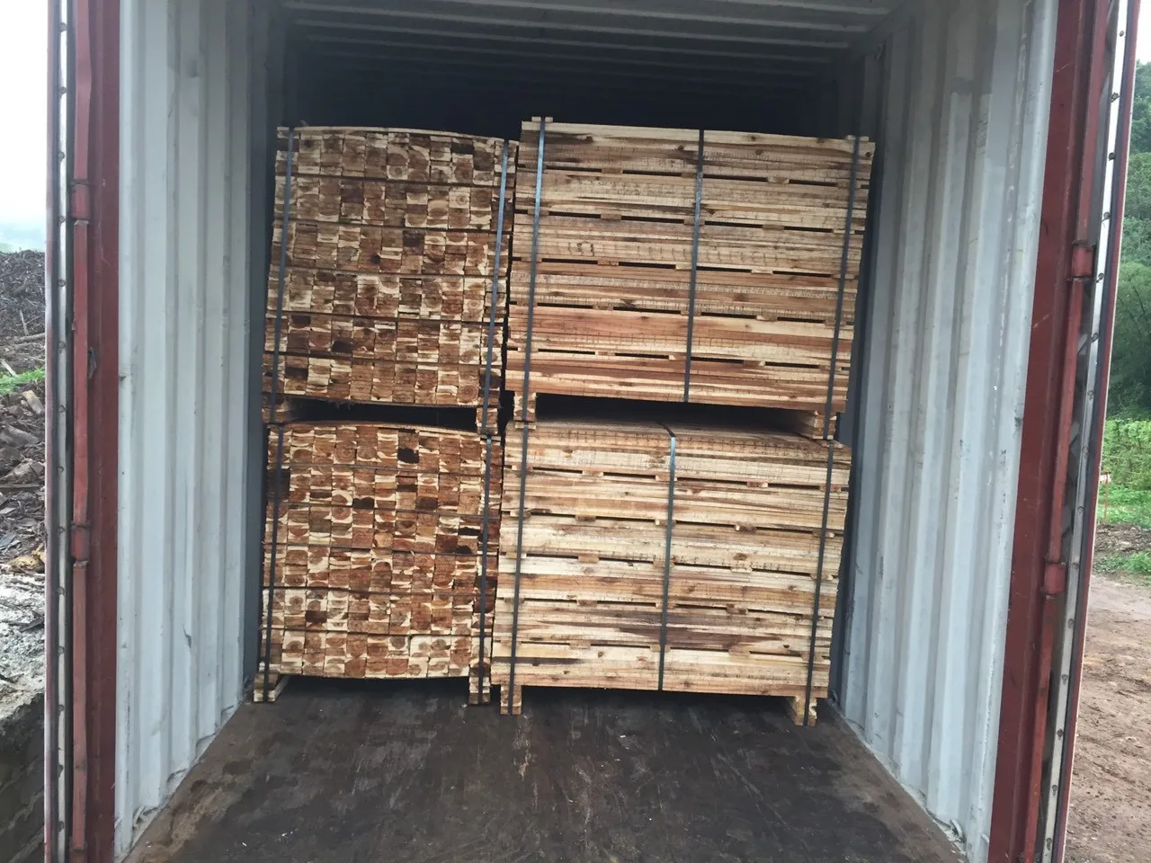 Acacia Sawn Timber & Pine Wood - High Quality & Cheap Price