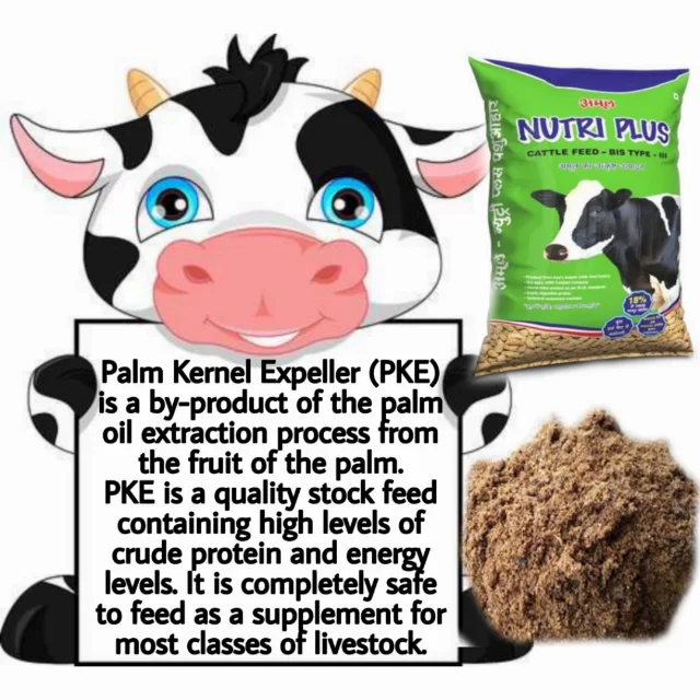 Agricultural Foodstuff Palm Kernel Cake Better Protein Than Wheat Bran ...