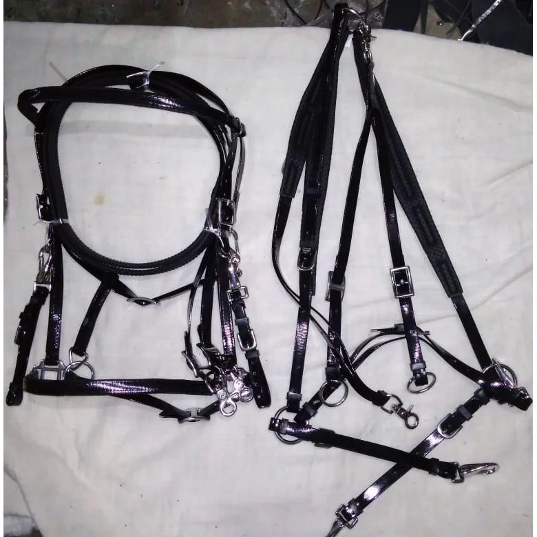 Endurance Blue Pvc Horse Bridle With Breastplate In;34648 Full Cob ...