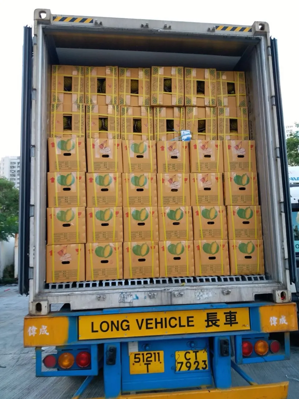 New Crop-hot Deal Fresh Durian For Export From Vietnam / Ms. Laura +84 ...