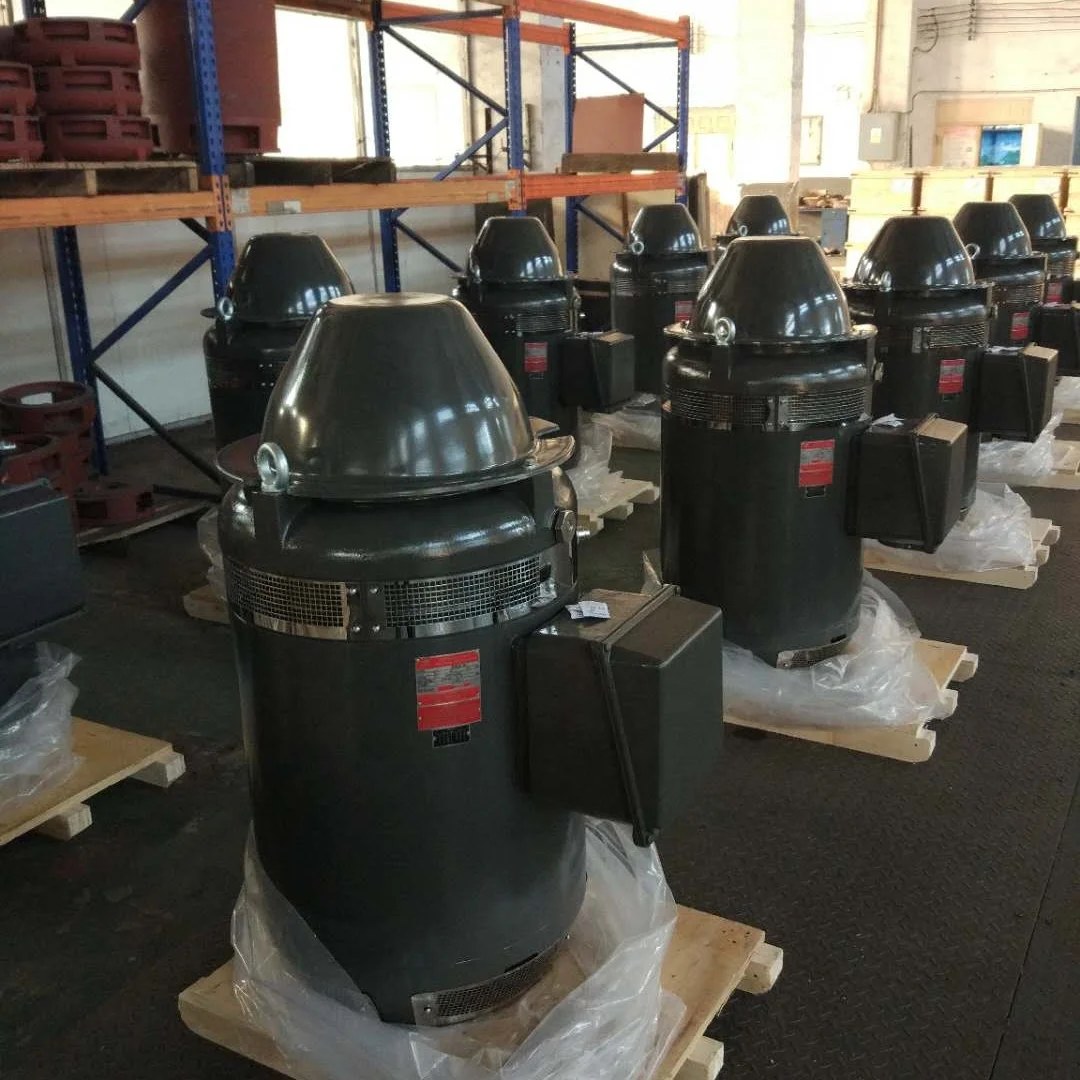 VHS Motor TEFC NEMA Premium Efficient Vertical Hollow-Shaft Motors INVERTER