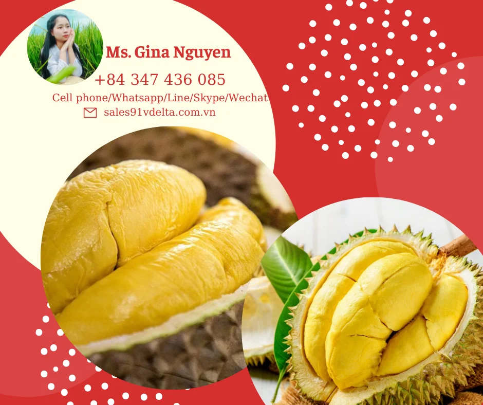 Korean Maket//durian Paste Export From Vietnam/ms. Gina +84 347 436 085 ...