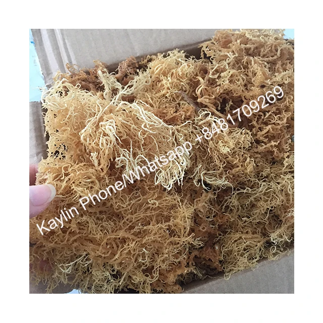 Bulk Quantity Dried Irish Sea Moss - Eucheuma Cottonii