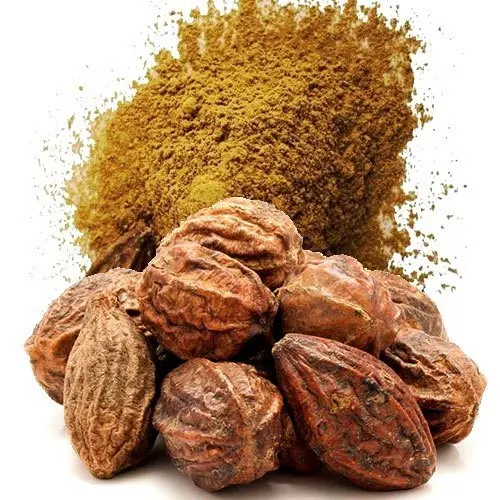 High Quality Pure Natural Myrobalan Extract - Terminalia Chebula Fruit ...