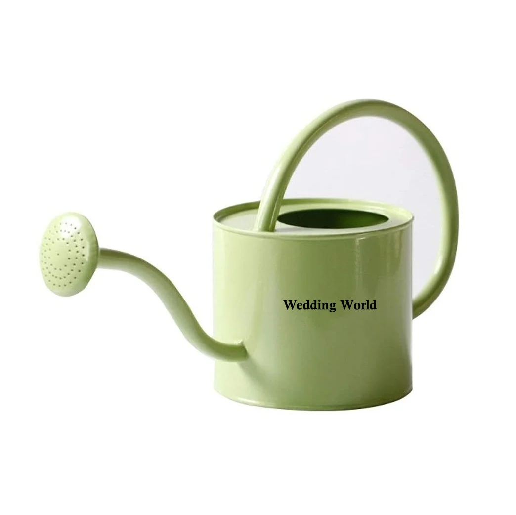 Metal Green Water Can Superior Quality Handmade Designer Wholesale ...