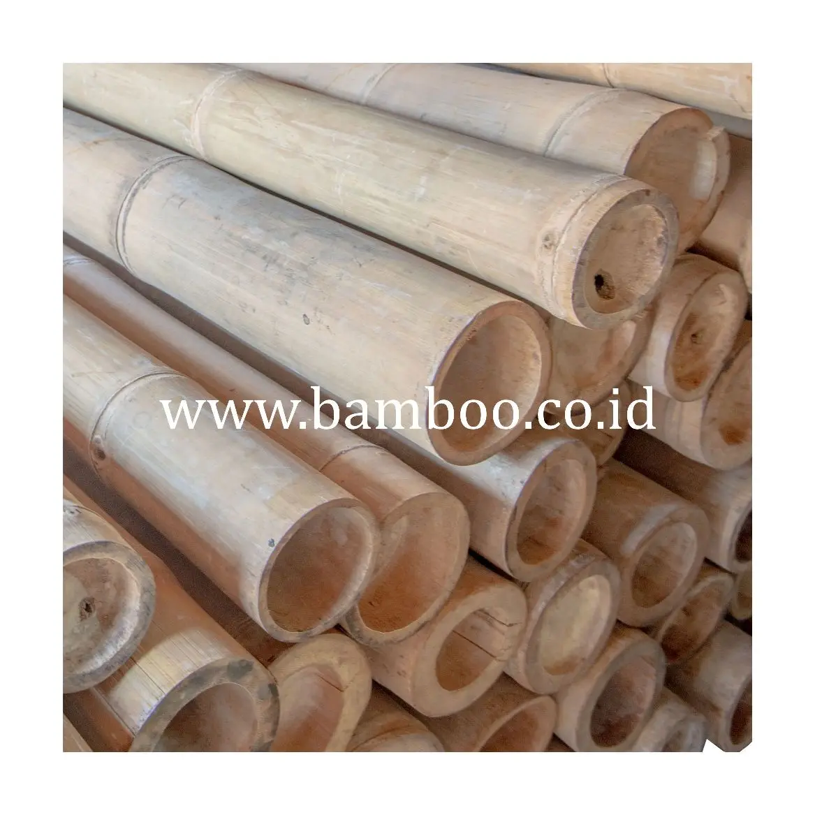 Bamboo Poles - Eco-Friendly, High-Quality Raw Materials