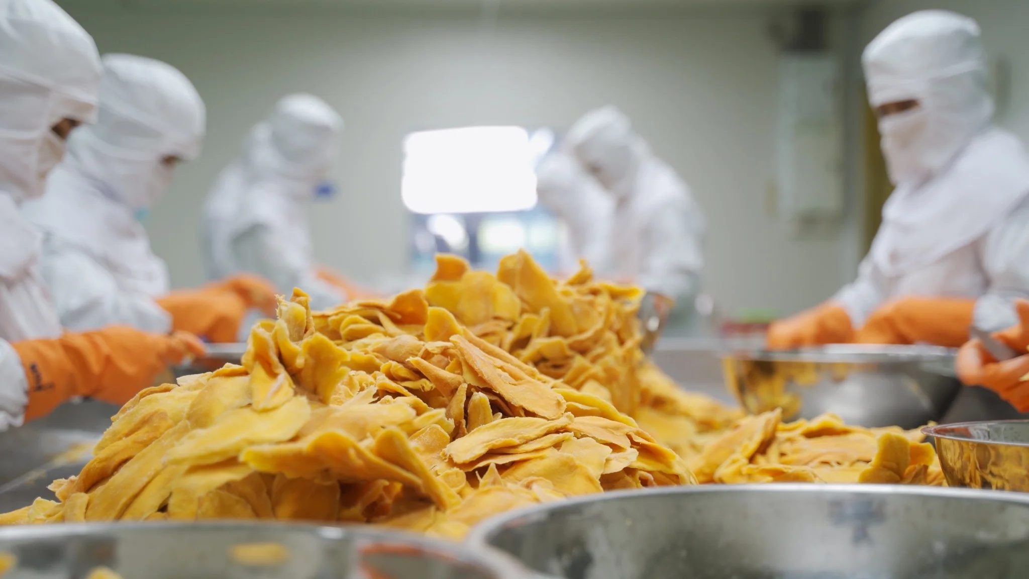 Premium Quality Dried Mango Natural Oem Available Manufacture Dried ...