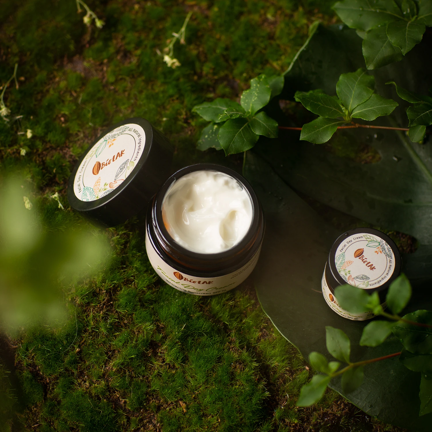 Face Day Cream 50gr Private Label 100% Natural Good For Skin Nourishing ...