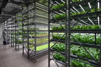 Smart Farm Hydroponic Plants Rack Indoor Vertical Growing System - Buy ...