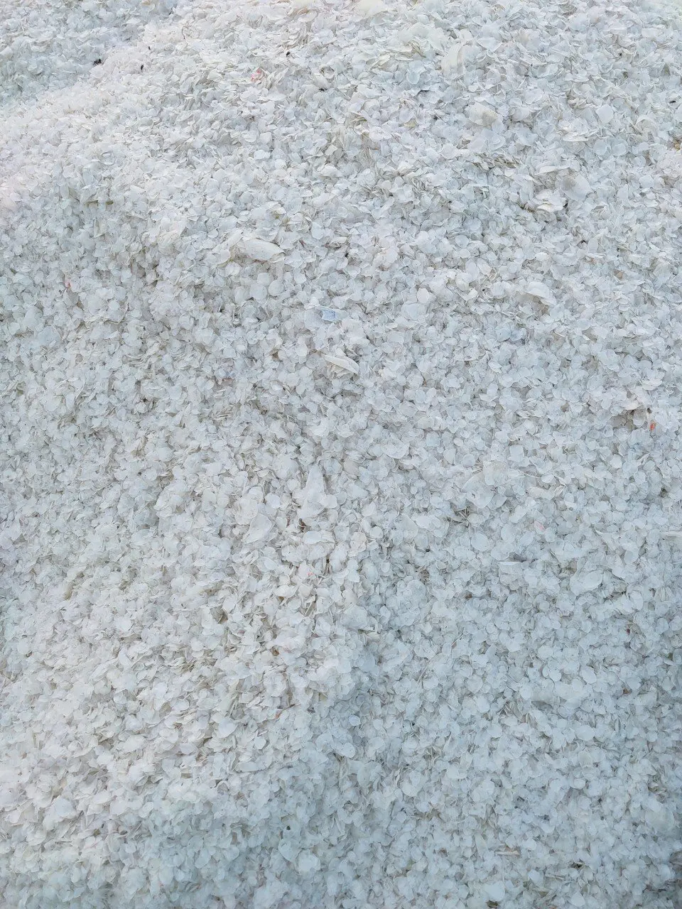 Top Quality Supper Sales Dried Fish Scales To Extract Gelatin Collagen ...