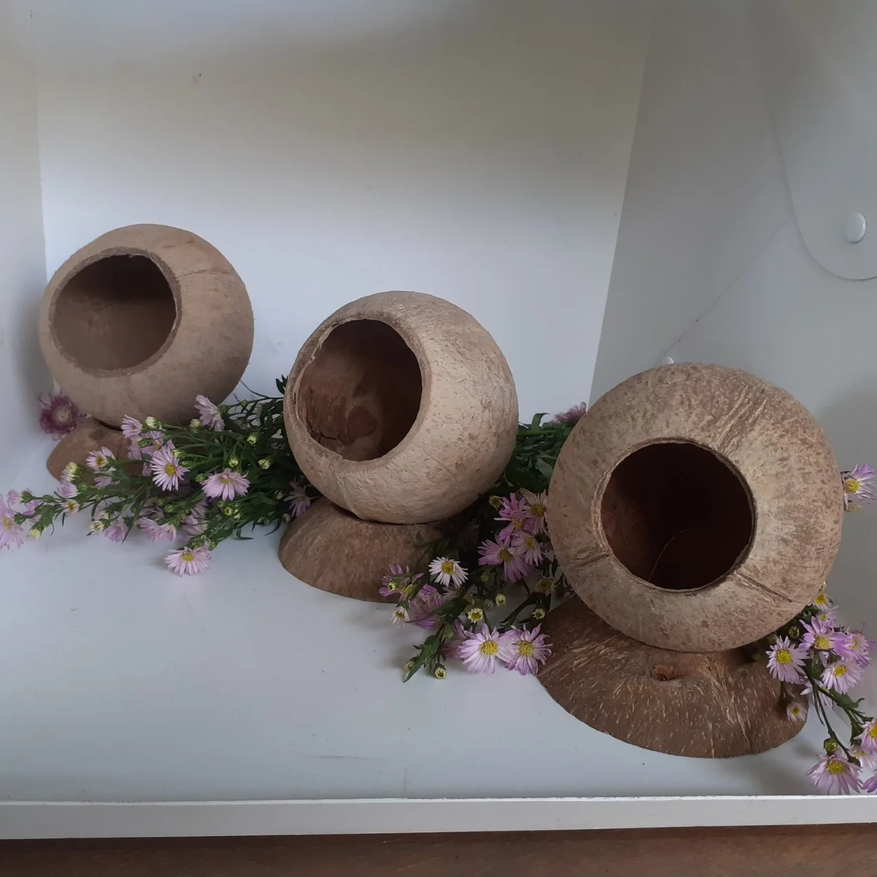 Coco Pot Coconut Fiber Planters - Biodegradable & Stylish
