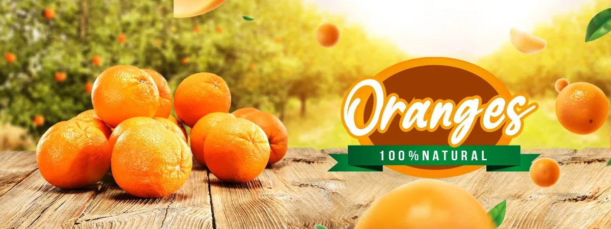 Company Overview - G M TRADERS