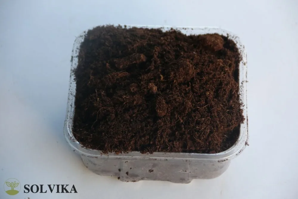 Www.peatmoss.lt - High-Quality White Peat Moss from SOLVIKA
