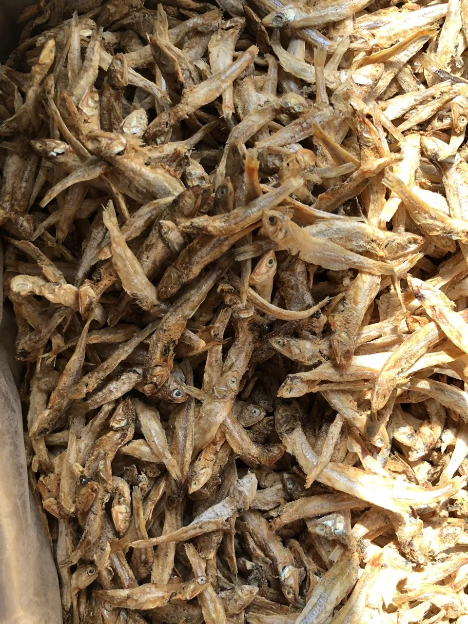 Wholesale Dry Anchovy Fish/ Mr.darien +84868462942 - Buy Dried Fish ...
