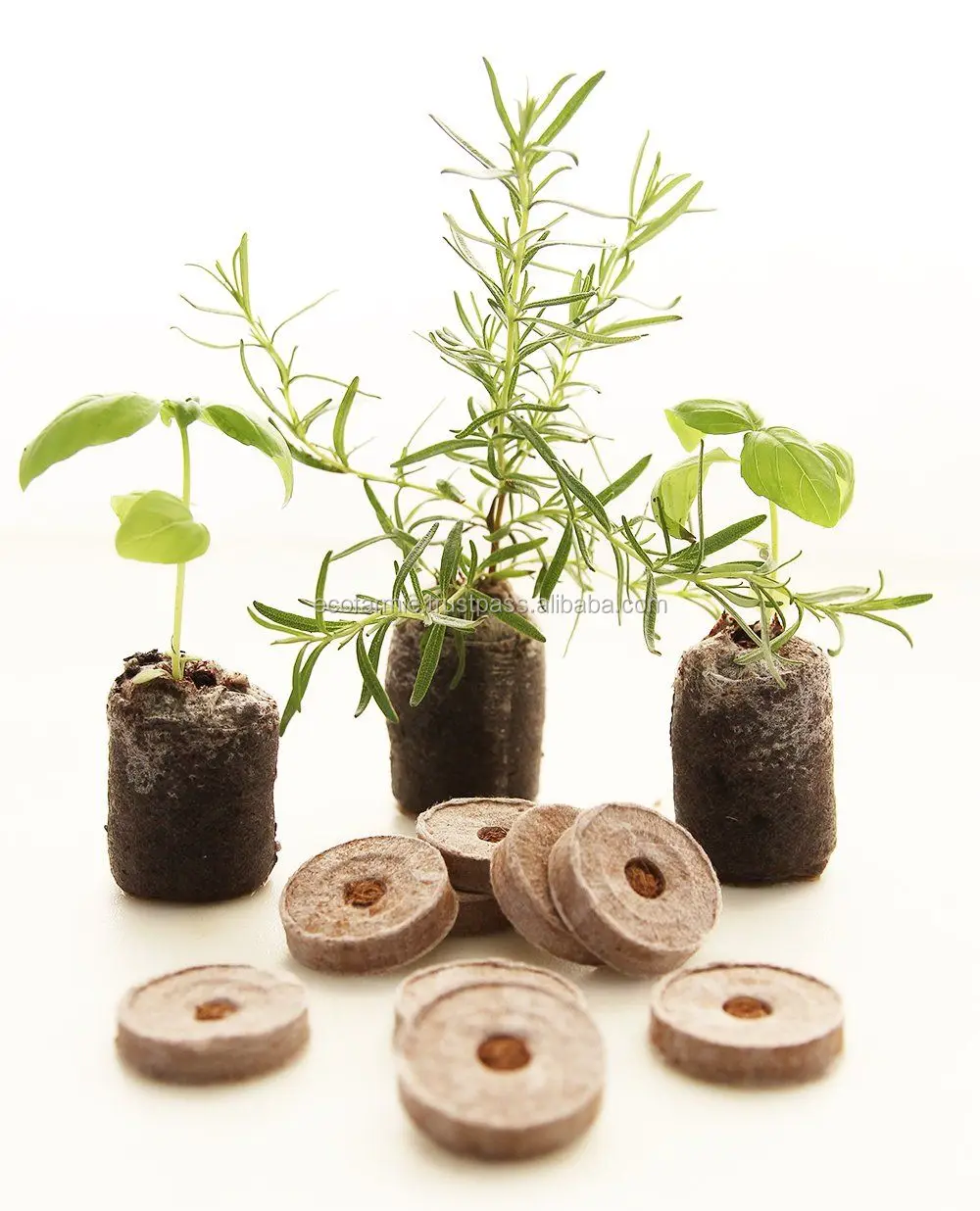 Hydroponic Coco Pith Peat Pellets Biodegradable Coco Compressed Disc ...