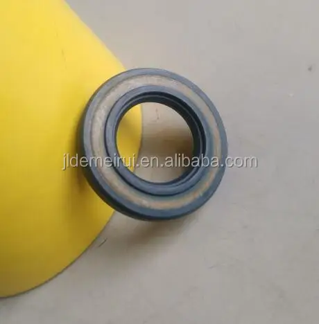 Delphi Fuel Pump Oil Seal 7174-856, NBR Material, BABFSF Type 20*35*5.3 ...