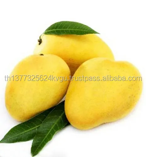 Fresh Mango(indian,Zbdya,Sdika,Mabroka,Ewissy,Tymor,Sokari(sugar) - Buy ...