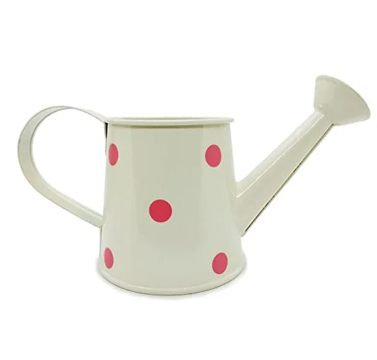 White Color Metal Watering Cane Rounded Shape Wholesale Luxury Garden ...