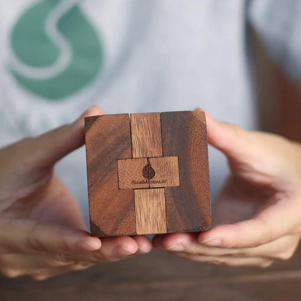 Wooden Brain Teaser Puzzle - Educational Problem Solving Toy