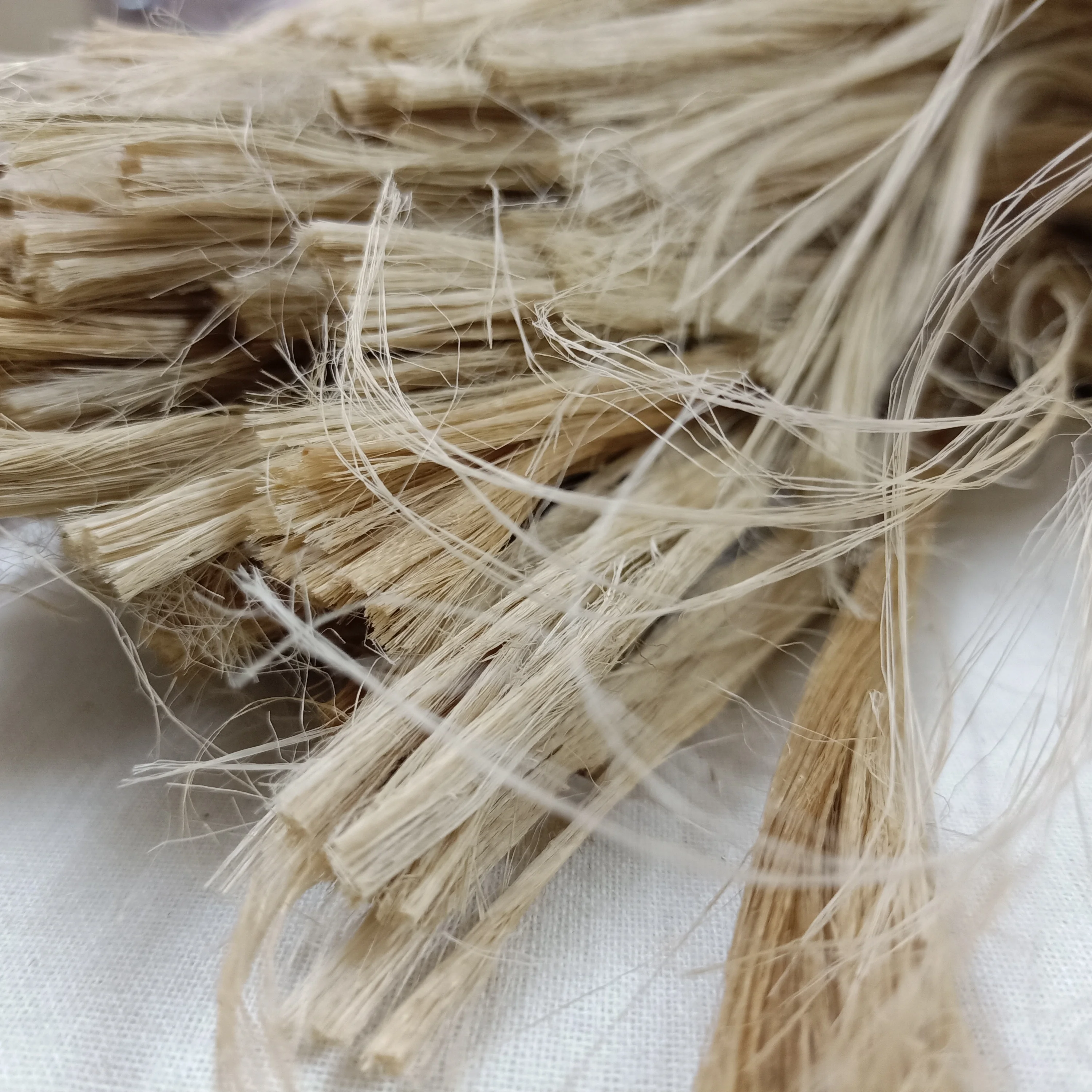 Natural Fiber Pineapple for Art and Crafts Spinners Weavers